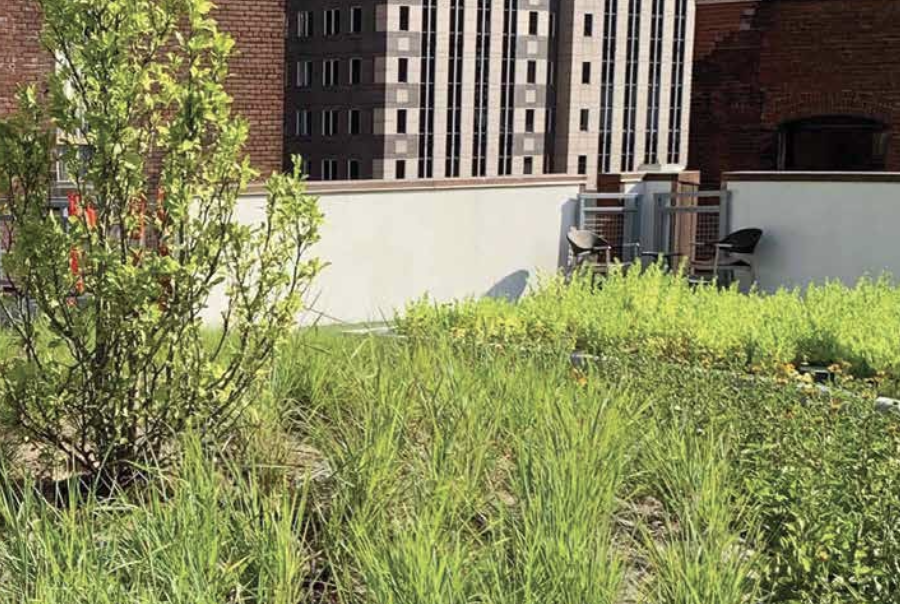 Products Lines - SJ Mallein & Associates